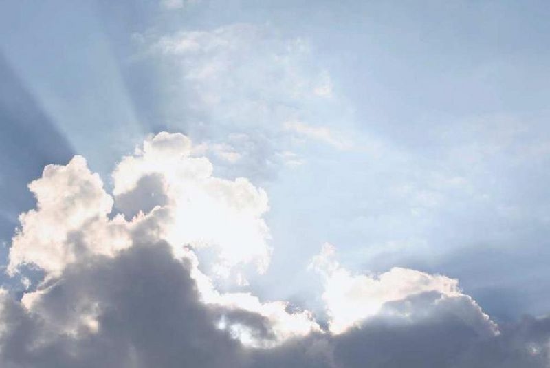 Elizabeth Hickling - Historical records and family trees - MyHeritage